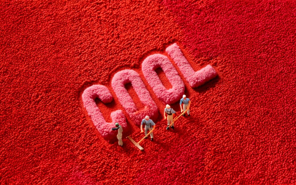 Cool Collection: Transform Your Space with Bold Rugs