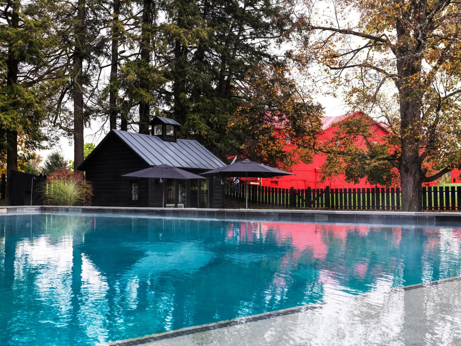 Step Inside Bradford Shellhammer Modern Eden