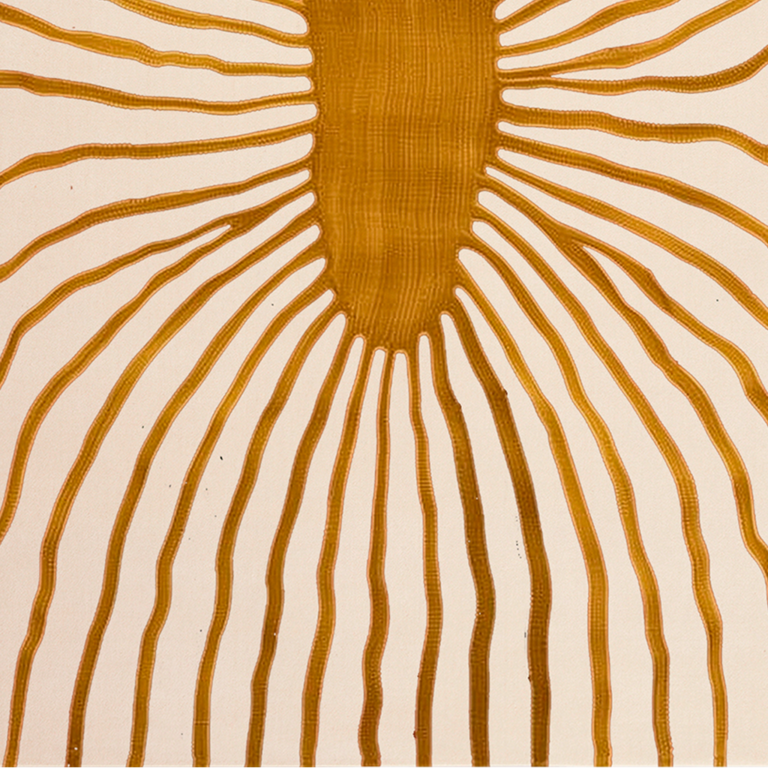 TAPIS Ginger Rug | Organic Rug | Tapis Studio
