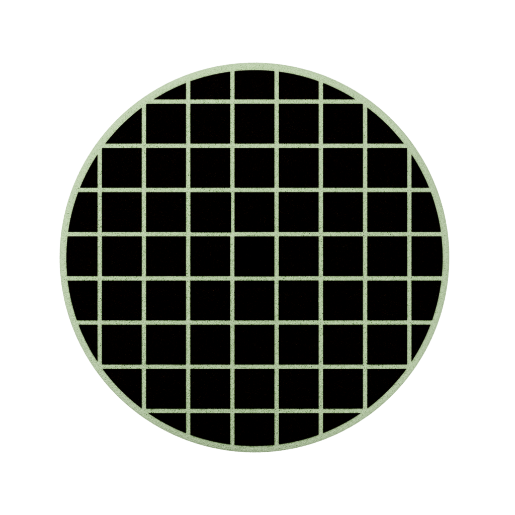 Olympic Trends 2024 - Winning Rugs - TAPIS Studio