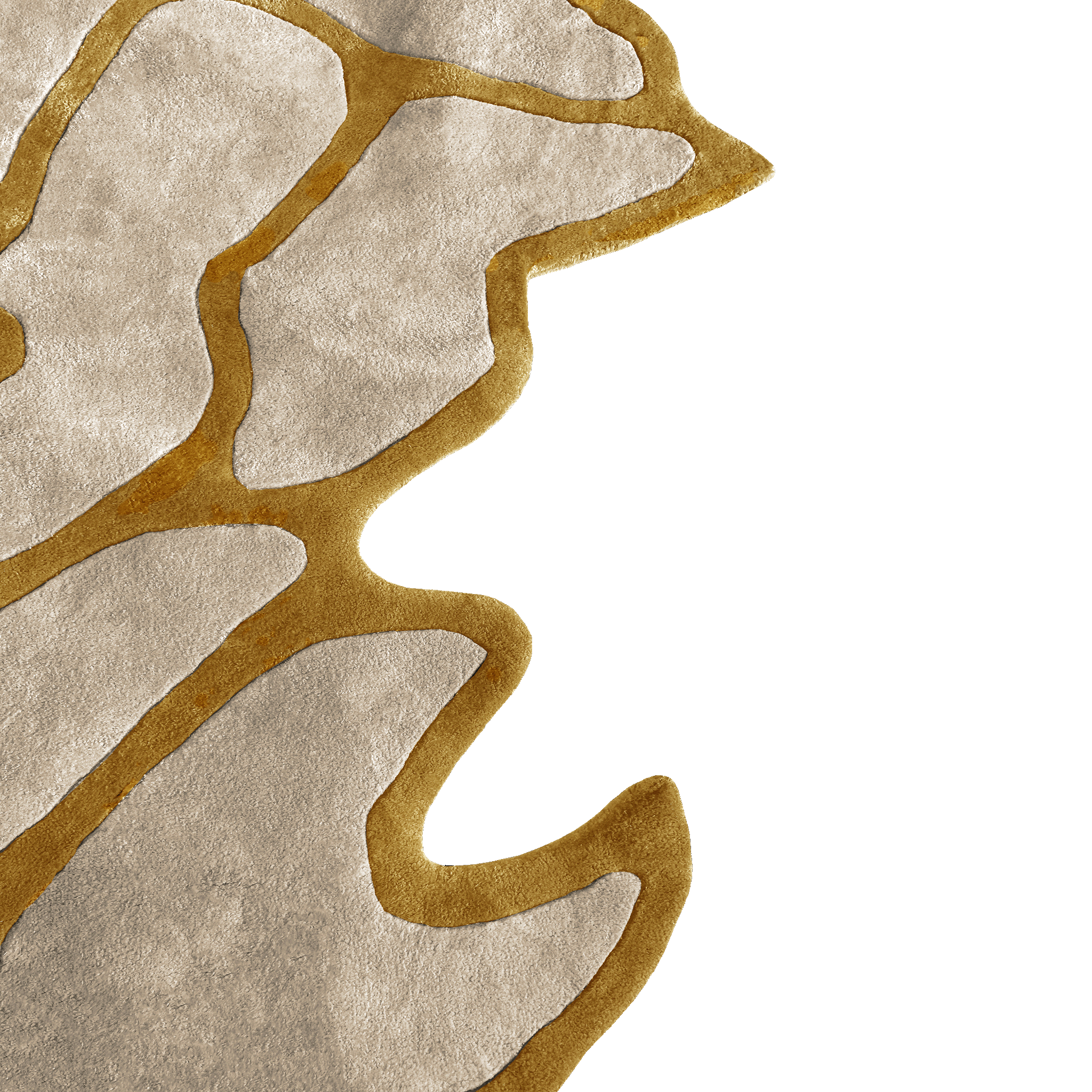 The Color Rugs Trends for 2024 - A Guide To Elevate Your Pro