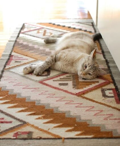 Pet Rugs for Every Home: Furry Friends, Fashionable Floors