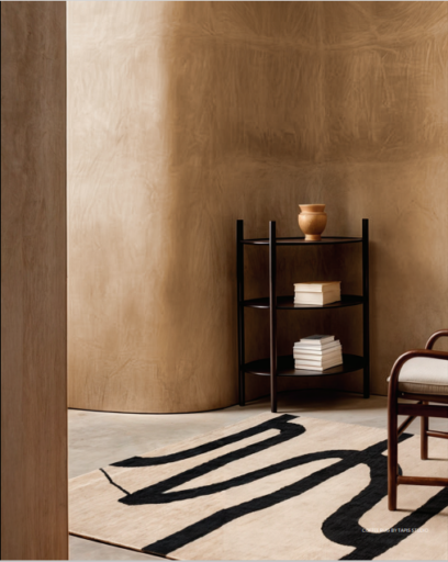 Color Rugs 2025- How to Choose The Best For Your Project