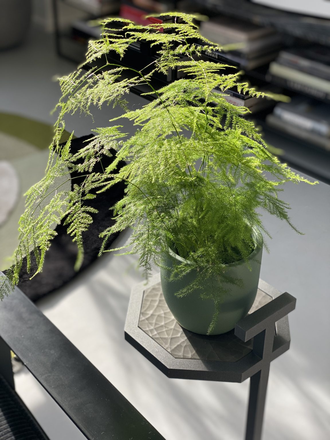 A Magical Contemporary Interior Design: Explore Casa Botelho´s Showroom