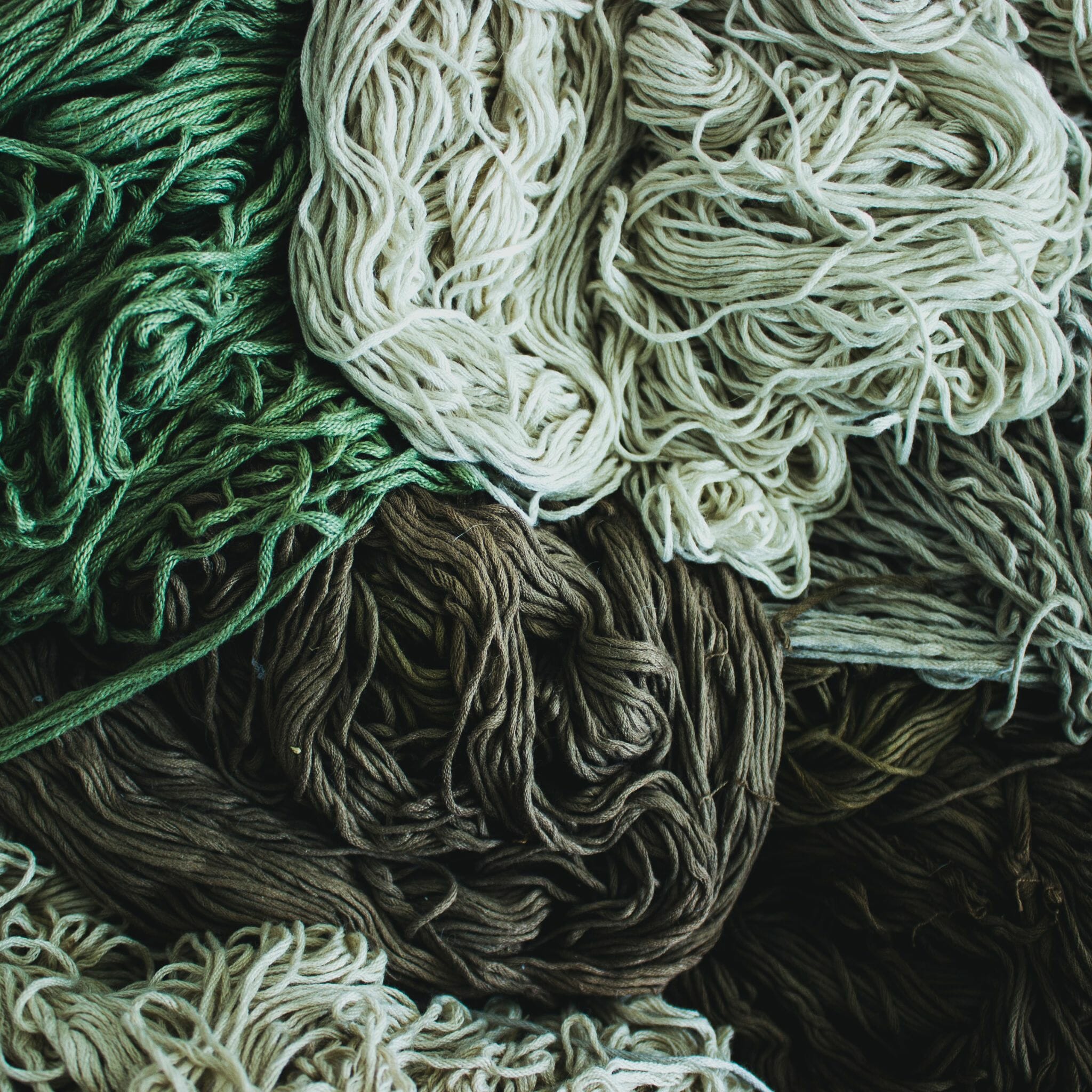 Menízias Rug Collection | TAPIS Studio Essentials + Vanguard Tapestry