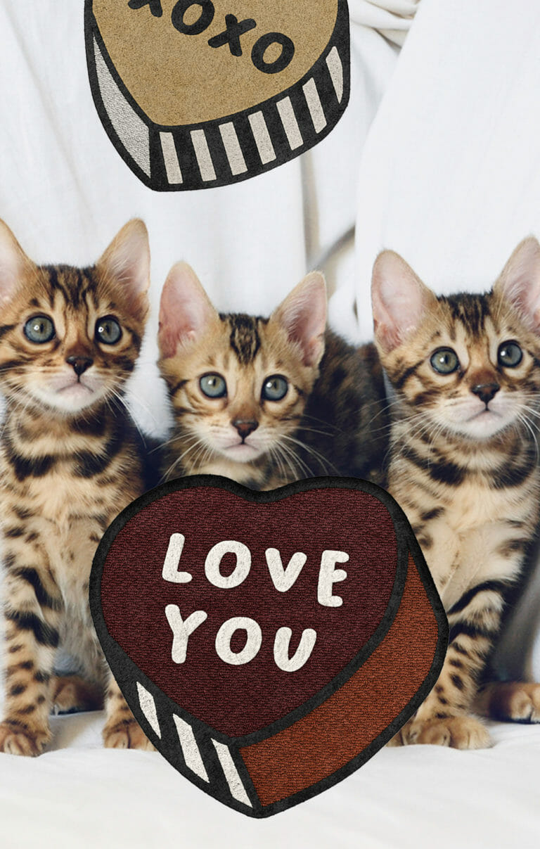 The 10 Best Area Rugs For Pets: Pet Room Design