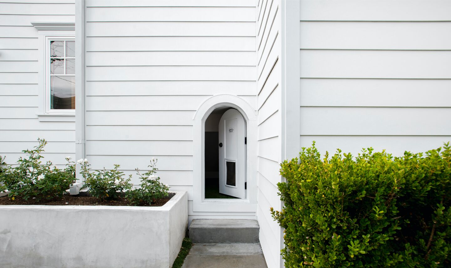 Explore Margot Robbie's Breathtaking Venice Beach Residence