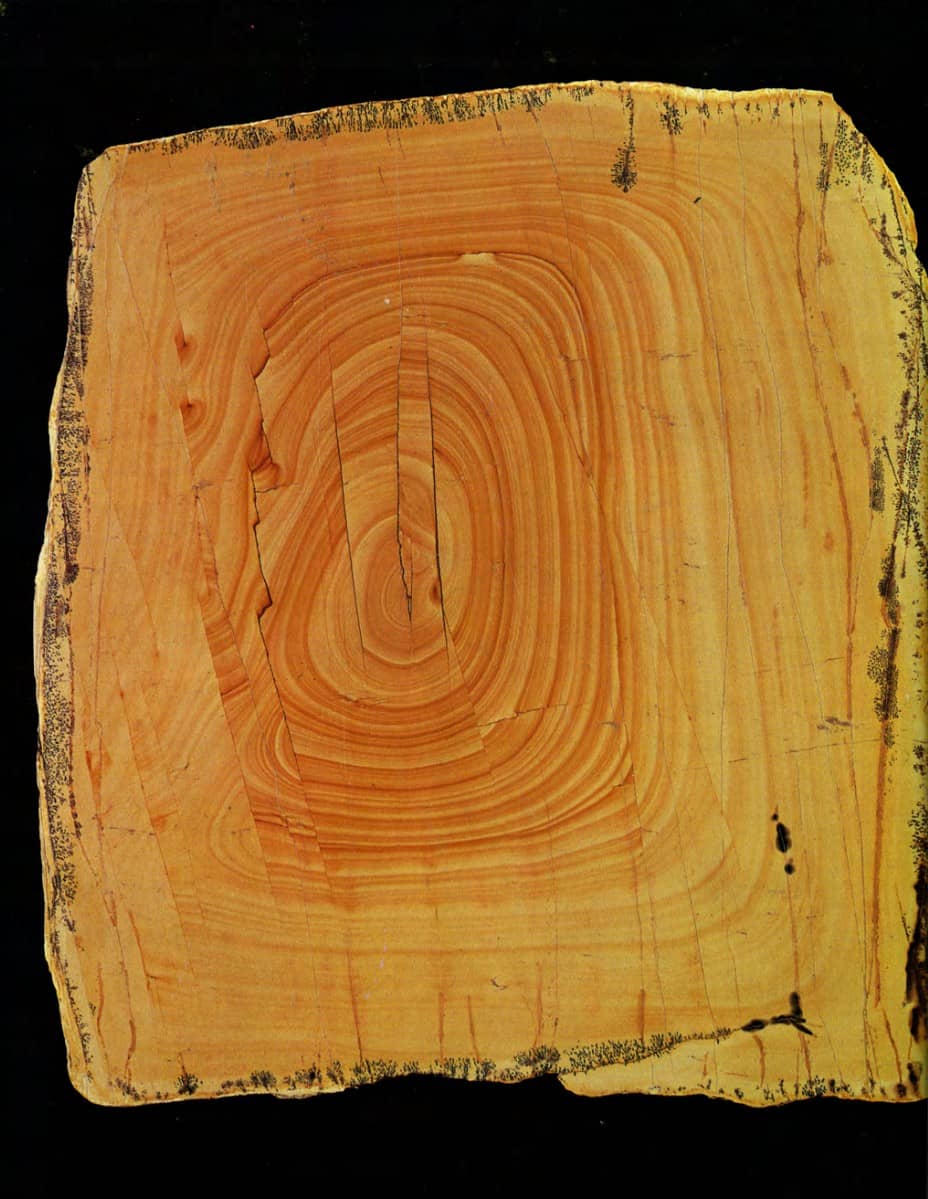 NOMAD Collection | TAPIS Studio Essentials + Vanguard Tapestry